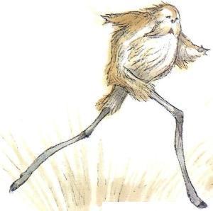 Yuzzum - Anakinworld