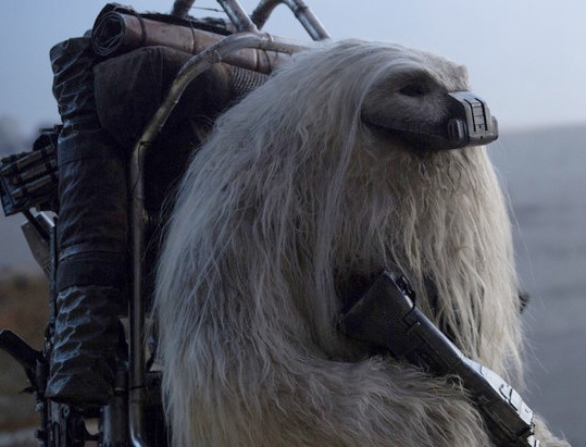 Moroff - Anakinworld