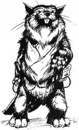 Tynnan - Anakinworld