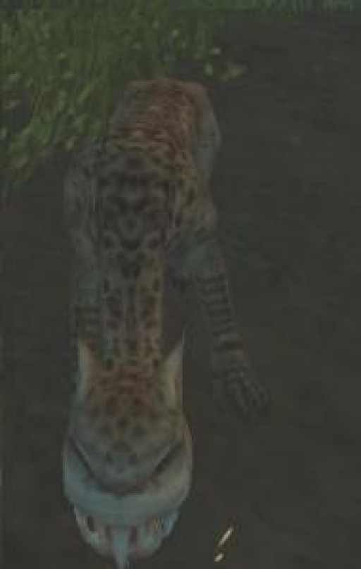 Maalraas - Anakinworld