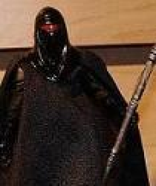 Garde Royale Impériale - Anakinworld