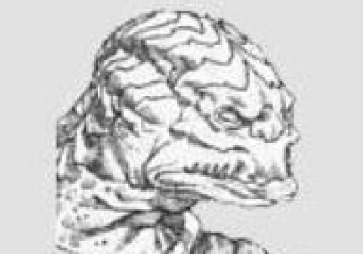 Tesar Sebatyne - Anakinworld