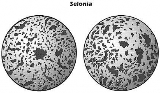 Selonia - Anakinworld