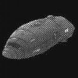 Vaisseaux auxiliaires - Anakinworld