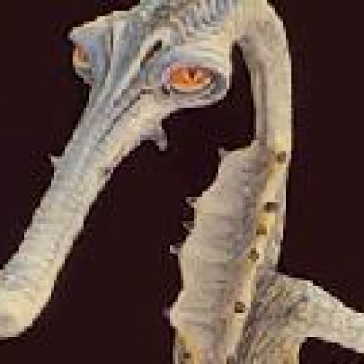 Aldar Beedo - Anakinworld